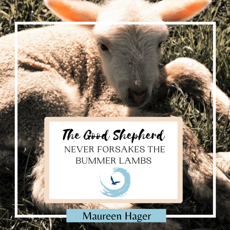 Words of Life Blog – Life 107